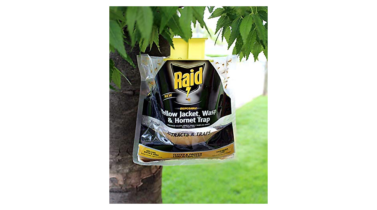 Effective Raid Wasp Trap (3-Pack) for Your Outdoor Needs