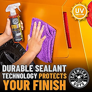 Chemical Guys SPI_995_16 Meticulous Matte Detailer and Spray Sealant, 16 oz, Orange