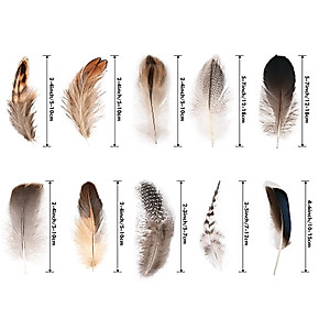 FeelfunFeather 300 pcs Small Feathers - 10 Style Mixed Spotted Decorative Natual Pheasant Feather for DIY Crafts Clothing Jewelry Hair Decoration
