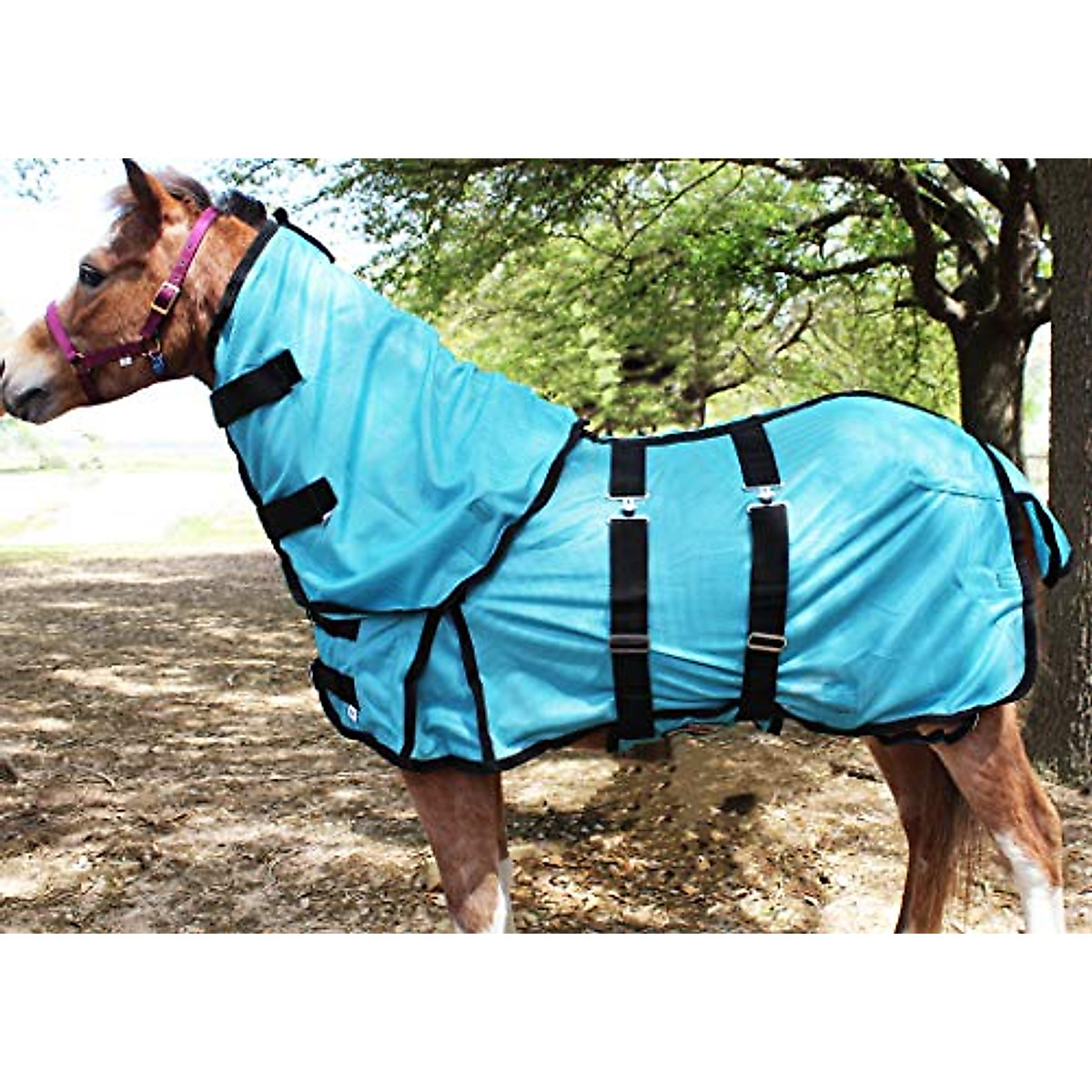 CHALLENGER 44" Miniature Weanling Donkey Pony Horse Foal Summer Sheet 51811B