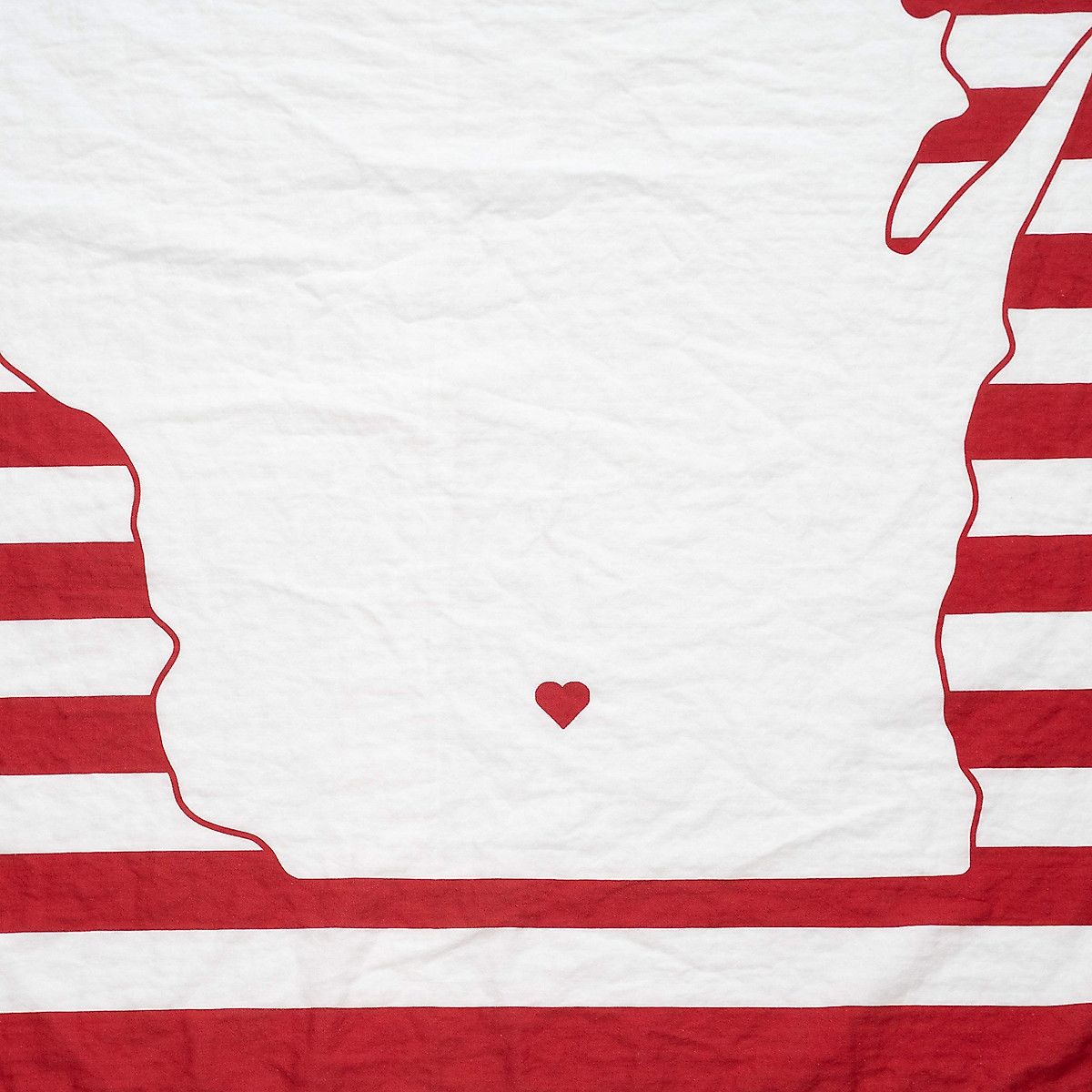 TWIG & BALE Madison Wisconsin Baby Blanket Organic Cotton Muslin Swaddle Blanket - 47" x 43" - Fans of Wisconsin Baby Gift for Boys Girls Newborn Receiving Blankets