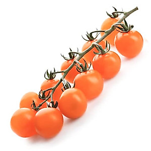 For 2024!Best Taste Cherry Tomato Seeds for Planting-Sun Gold.Non GMO Garden Seeds for Planting Vegetables Seeds at Home Vegetable Garden & Hydroponics Seed Pods:10ct Sungold Cherry Tomato Plant Seeds