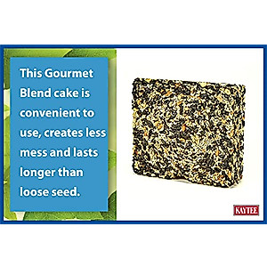 Kaytee Wild Bird Gourmet Seed Cake For Cardinals, Chickadees, Juncos, Titmice, Woodpeckers and More, 2 Pounds