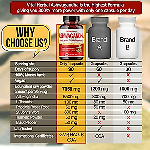 Organic Ashwagandha Capsules Equivalent to 7050mg - Maximum Potency with L-Theanine Turmeric Rhodiola St. John's Wort Increase Strength Focus Mood Sleep Support - 90 Days Supply