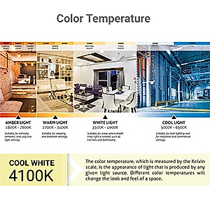 Sunlite 30195 T8 Linear Fluorescent Lamp, 32 Watts, 3050 Lumens, F32T8/SP841, 4100K Cool White, Medium G13 Bi Pin Base, High Performance Straight Tube, 30 Pack