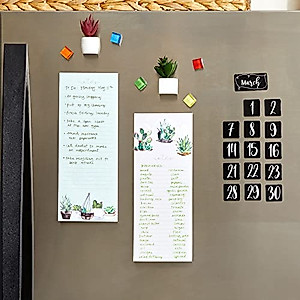 12-Pack Succulent Magnetic Notepads for Refrigerator for Grocery Shopping Lists, To Do Lists, Appointment Reminders, Daily Task Organization, Full Magnetic Back for Locker, Filing Cabinet (3.5x9 in)