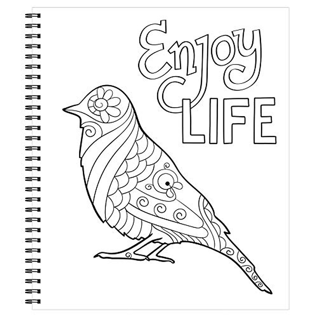 Large Print Easy Color & Frame - Calm (Stress Free Coloring Book)