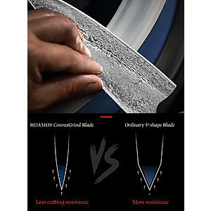 HIDAMOS Professional Damascus Chef Knife Super Sharp Kitchen Knives 73-layer VG-10 Steel Japanese Sushi Knife for Meat/Vegetable with Sheath