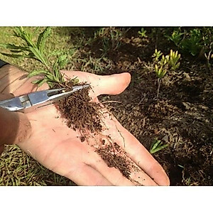Lawn Jaws The Original Sharktooth Weed Puller Remover Weeding & Gardening Tool Weeder - Pull from The Root Easily!- Great Gardening