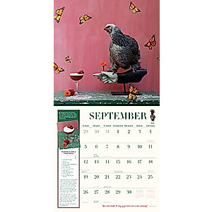 Drinking with Chickens Wall Calendar 2021