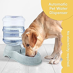 Noa Store Automatic Pet Water Dispenser | 1 and 3 Gallon Cat Water Dispenser and Cat Food Dispenser, H20, BPA-Free, Small and Big Cat Feeder and Dog Water Dispenser, Cat Water Bowl and Dog Feeder