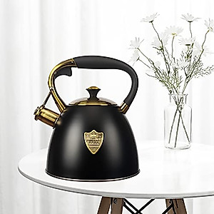 Tea Kettle -2.9 Quart Tea Kettles Stovetop Whistling Teapot Stainless Steel Tea Pots for Stove Top Whistle Tea Pot