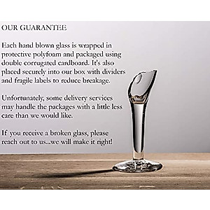 Hand Blown Mexican Drinking Glasses - Set of 6 Glasses with Cobalt Blue Rims (14 oz each)