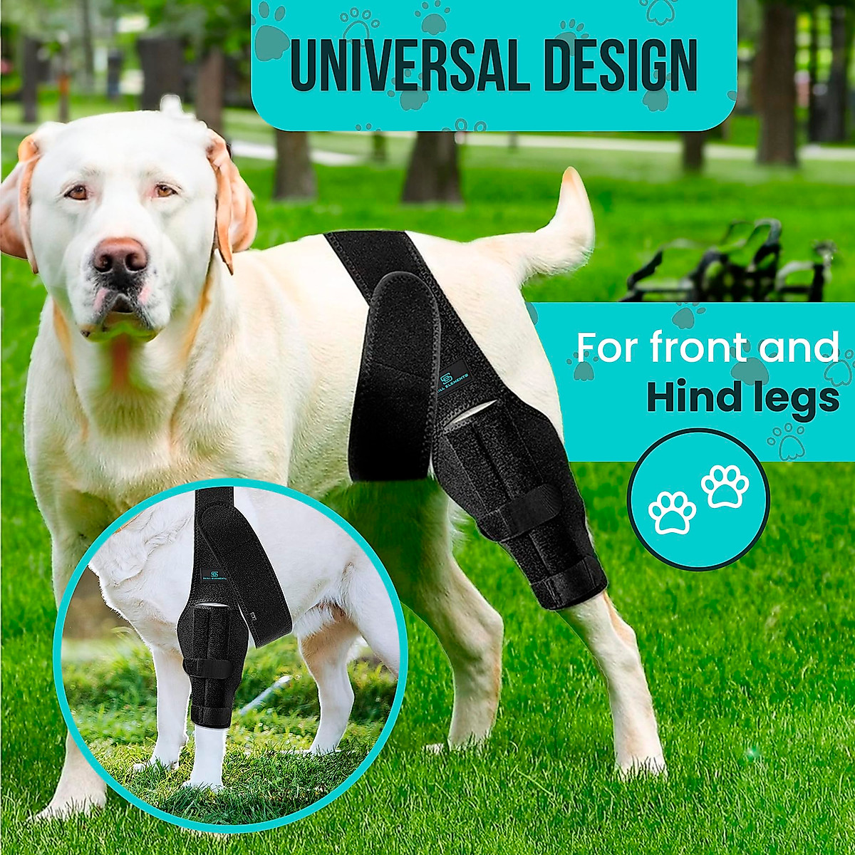 Dog Leg Braces for Back Leg - Dog Knee Brace For Support With Cruciate Ligament Injury, Joint Pain And Muscle Sore,- Dog Knee Brace for Torn ACL Hind Leg Adjustable Rear Leg Braces (Large)