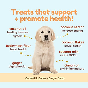 CocoTherapy Ginger Coco-Milk Bones 3 Pack, 6 Ounces Each, USDA Organic