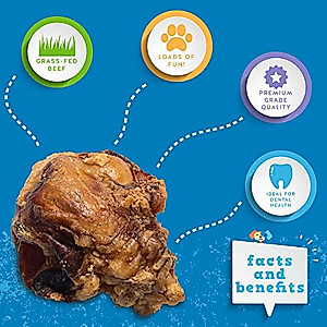 Jack&Pup Knee Bones Dog Treats - Premium Grade Roasted Dog Chew Bones (10 Pack) - Single Ingredient All Natural Gourmet Long Lasting Dog Bone- Savory Smoked Beef Flavor (10 Piece Pack)