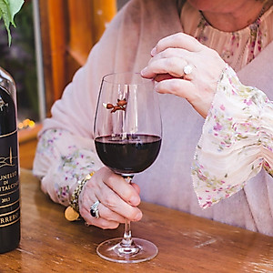 Simply Charmed Fox and Owl Wine Glass Charms - Magnetic Drink Markers for Regular or Stemless Glasses