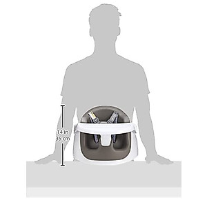 Regalo 2-in-1 Booster Seat and Grow with Me Floor Seat with Removable Feeding Tray, Indoor and Outdoor Activity Chair, Gray