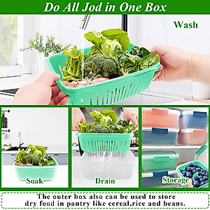 shopwithgreen 68oz Berry Keeper Container, Fruit Produce Saver Food Storage Containers with Removable Drain Colanders, Vegetable Fresh Keeper Set | Refrigerator Organizer