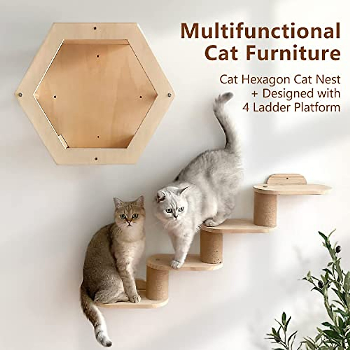 Cat Shelves Cat Wall Shelf and Cat Ladder of 4 Level, Cat Houses Condos for Activity Indoor Cats Furniture Wall Mounted Cat Wall Steps Set with Hexagon Nest Perches 2 PCS Set