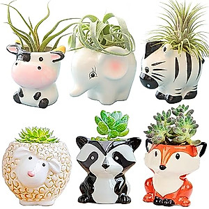 6 Pcs Air Plant Holders Cartoon Shaped Small Succulent Pot Animal Planter Small Ceramic Plant Pot with Drainage for Mini Plant Cactus Flower, Tillandsia Air Fern, Display Stand Home, Office Desktop