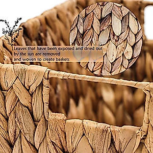 11.5"L x 10"W x 8"H Hyacinth Storage Basket with Handles, Rectangular, by Trademark Innovations