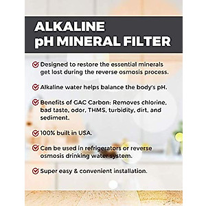 Oceanic Dual Post Carbon (GAC) & pH Alkaline Water Filter Cartridge for RO Systems