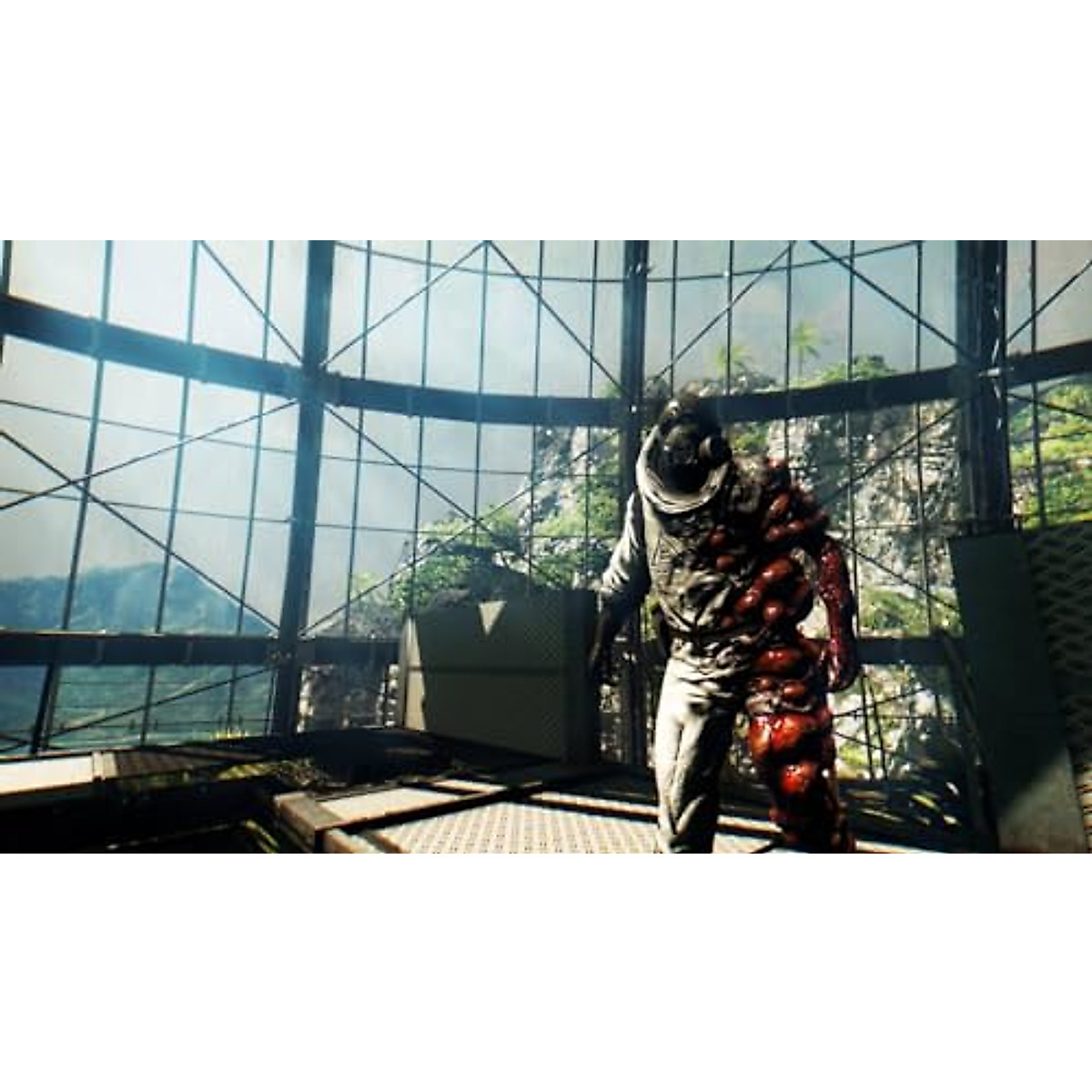 Dead Island Definitive Collection Edition (PS4)