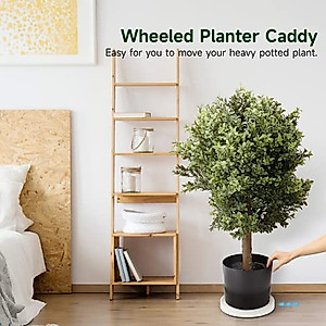 2 Packs Rolling Plant Caddies, 12Inch Heavy Duty Plant Caddy with Hidden Wheels, Rolling Planter Caddies with Wheels, 360° Rolling Plant Roller Base with Casters, Beige