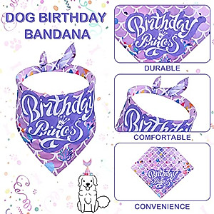 Cute Dog Birthday Party Supplies, Boy Girl Dog Birthday Bandana Scarf and Dog Birthday Hat with Number (Mermaid, Large)