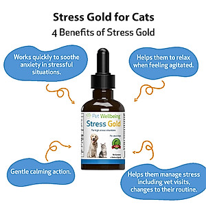 Pet Wellbeing Stress Gold for Cats - Occasional High Stress and Restlessness, Supports Relaxation, Travel, Vet Trips, Skullcap, Valerian - Veterinarian-Formulated Herbal Supplement 2 oz (59 ml)