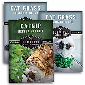 Survival Garden Seeds Cat Collection Seed Vault - Non-GMO Heirloom Seeds for Planting - Catnip and 2 Cat Grass Packets - Amazing Herbal Plants and Greens for Your Kitty's Health & Recreation