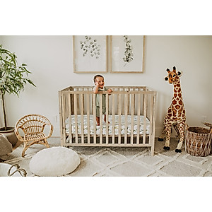 NODNAL CO. 3 Fitted Crib Sheets Leafy Set - 100% OEKO-TEX Cotton Baby Girl/Boy Nursery Bedding - Gender Neutral Leaves, Greenery, Floral Eucalyptus Standard Baby Toddler Crib Mattress 28”x52”x9” Sheet