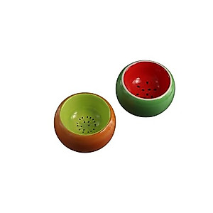 Pokinge 2 Packs Hamster Bowls, Ceramic Small Animals Food Dish Mini Anti-Moving Water Drinker for Rat Gerbil Hedgehog Kiwi Watermelon Pattern Pet Supplies