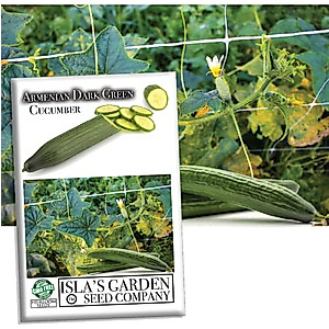 "Armenian Dark Green" Cucumber Seeds for Planting, 100+ Heirloom Seeds Per Packet, (Isla's Garden Seeds), Non GMO Seeds, Botanical Name: Cucumis sativus, Great Home Garden Gift