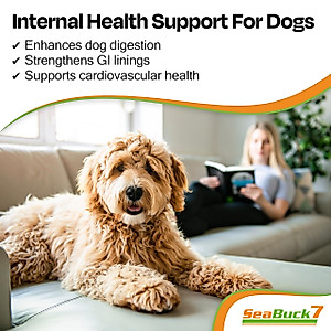 SeaBuck 7 Shiny Dog Sea Buckthorn Oil to Improve Dog Health (2-4 Month Supply, 60ml) – Supports Shiny Coat, Healthy Digestion, and Skin & Paw Pad Health for Dogs