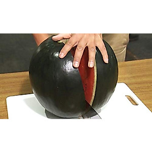 SeedsUP - 30+ Black Beauty Watermelon - Fruit seeds.