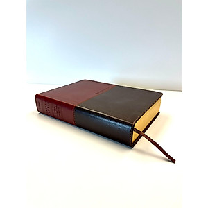 Santa Biblia NTV, Edición personal, letra grande, DuoTono (SentiPiel, Café/Café claro, Letra Roja) (Spanish Edition)