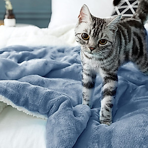 LBRO2M Sherpa Fleece Bed Blanket King Size,Super Soft Fuzzy Plush Warm Cozy Fluffy Microfiber Couch Throw Velvet Double Reversible Luxurious Blankets (Light Blue, King(90x104 Inches))