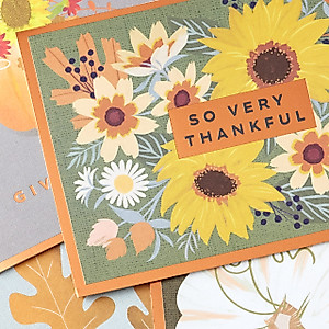 Hallmark Thanksgiving Cards Assortment, Thankful (36 Assorted Cards with Envelopes)