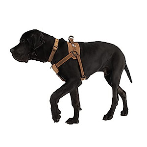 Carhartt Nylon Duck Training Dog Harness, Carhartt Brown, Medium