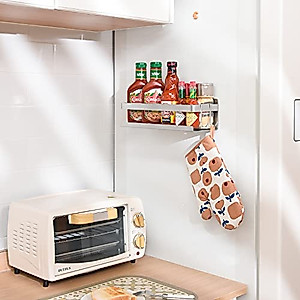 Yoniccal Magnetic Spice Rack for Rrefrigerator Magnet Fridge Spice Rack for Kitchen Home Organization and Storage