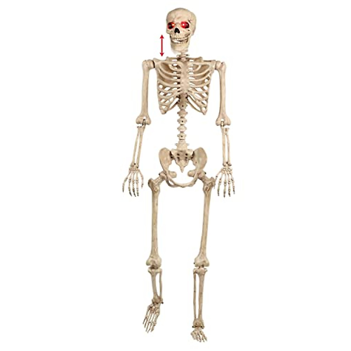 Crazy Bonez Talking Pose-N-Stay Skeleton