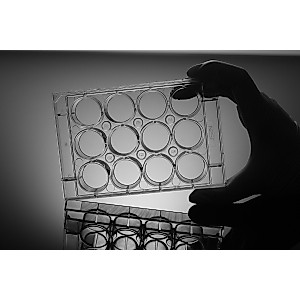 Nest Scientific 712001 Polystyrene 12 Well Cell Culture Plate, Flat Bottom, Tissue Culture Treated, Sterile, Clear, 1 per Pack, 50 per Case (Pack of 50)