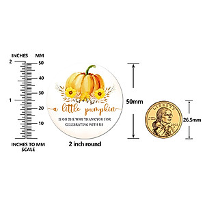 80 Little Pumpkin Thank You Stickers, Little Pumpkin Baby Shower Favor Stickers, Fall Themed Baby Shower Favor Stickers(2 Inch)