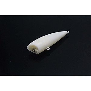 10PCS Unpainted Lure Blanks 5.47g 6.3cm with 6mm Free Fishing Eye Crankbait Baits Simulation Blank Body Clear Hard Baits Trout Salmon Minnow Lure Popper Lures Topwater Freshwater 8123