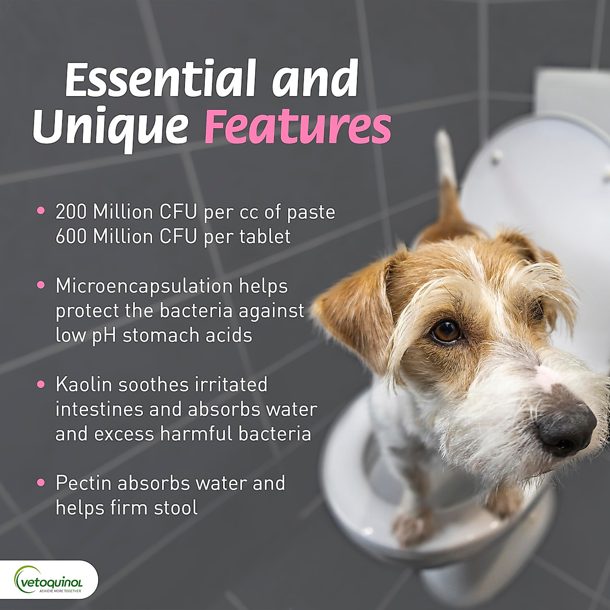 Vetoquinol Pro-Pectalin Oral Paste for Dogs & Cats – Chicken Flavor – Helps Reduce Occasional Loose Stool & Diarrhea, Balance Gut pH, Support Normal Digestion