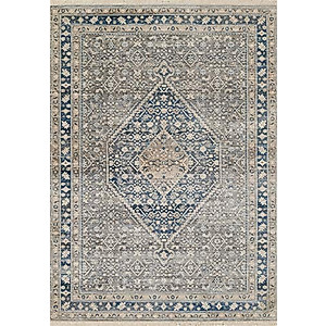 Momeni Izmir Polyester Traditional Indoor Area Rug, Blue, 8' X 10' (IZMIRIZ-03BLU80A0)