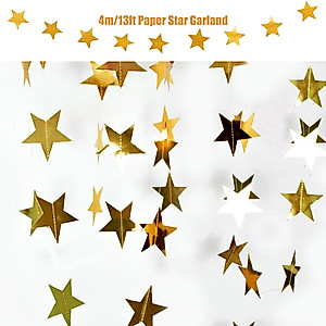 Fall Party Decorations Orange Burgundy Gold Paper Pom Poms Paper Fans Paper Lanterns Gold Satr Garland Banner for Fall Autumn Harvest Birthday Thanksgiving Party Supplies