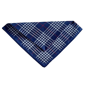 RDS HANKYTEX Men's Handkerchiefs 100% Cotton Checker Pattern 6 Pieces …